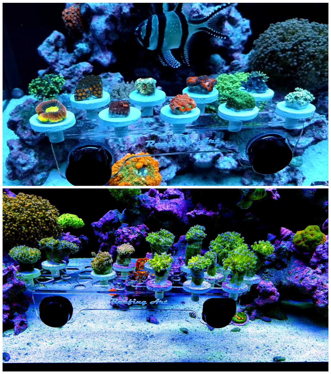 Fragging Suppies – Reefing Art AquaTech