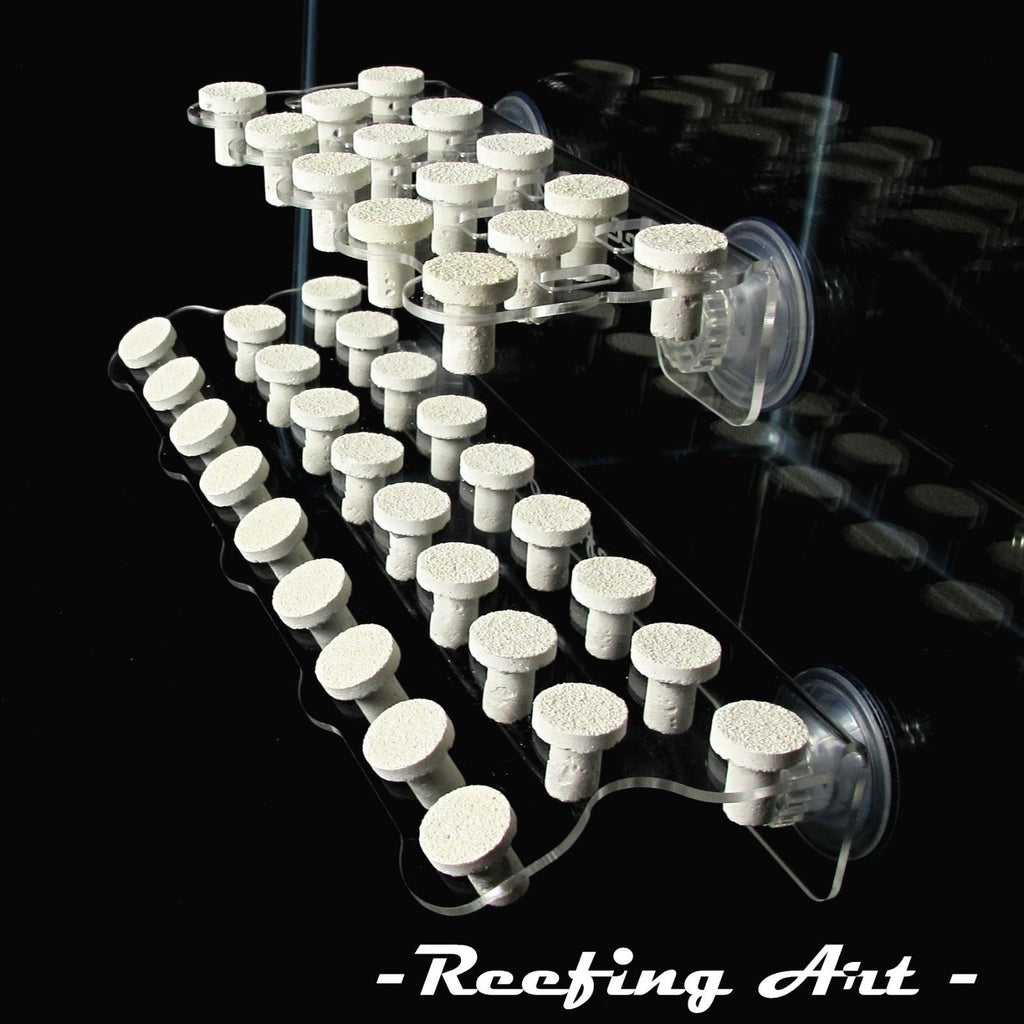 Suction Cup Coral Frag Rack – Reefing Art AquaTech